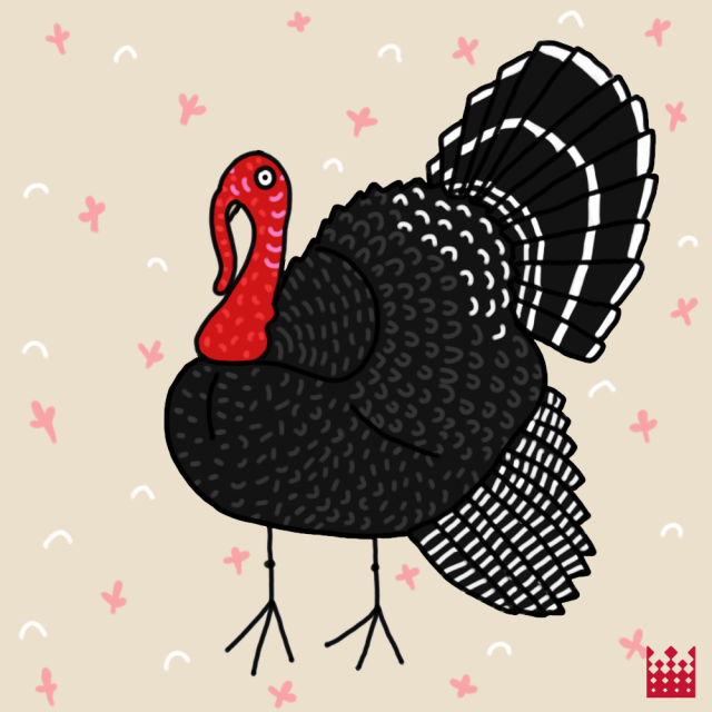 INDYK się ROZINDYCZYŁ | Narodowe Centrum Kultury