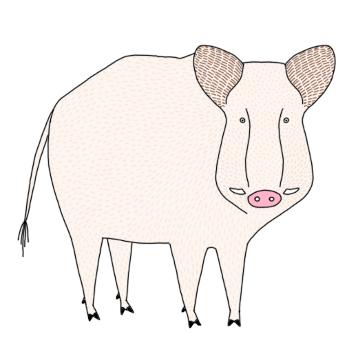 DZIK jest DZIKI... | Narodowe Centrum Kultury