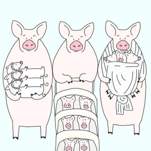 MACIORA | Narodowe Centrum Kultury